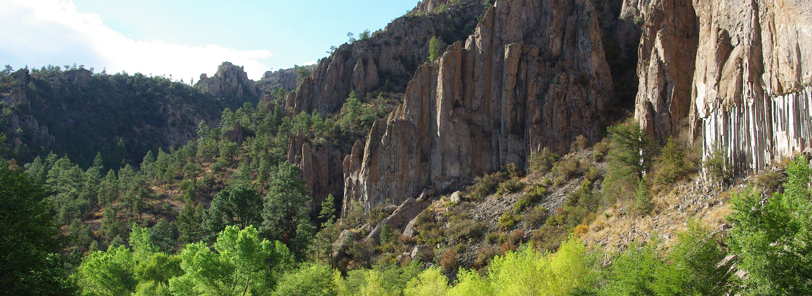 Home - Gila Guardians